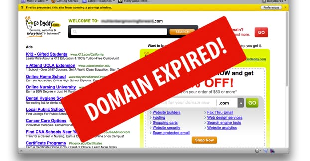 Why Your Backlinks are Declining and How to Stop It | Thrive